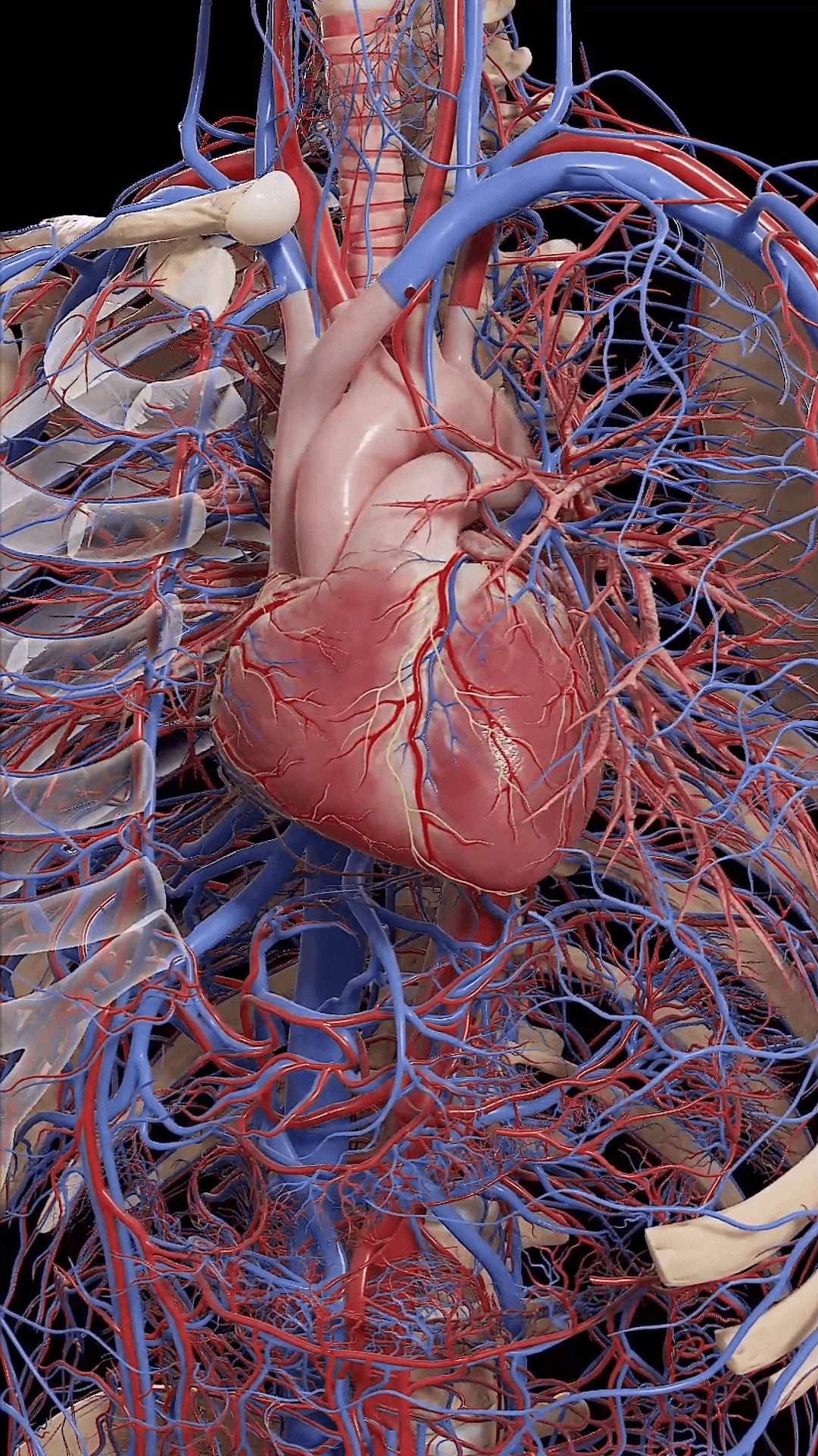 Advanced Licensing - SciePro 3D Models